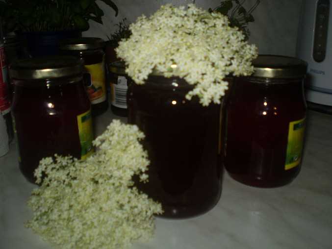 Med z černého bezu - přírodní léčba a chuťový zážitek - Září 2025 ...